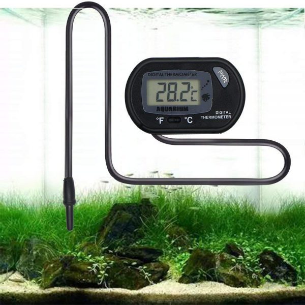 Best Value for Money Thermometers for Your Fish Tank - Fishxperts