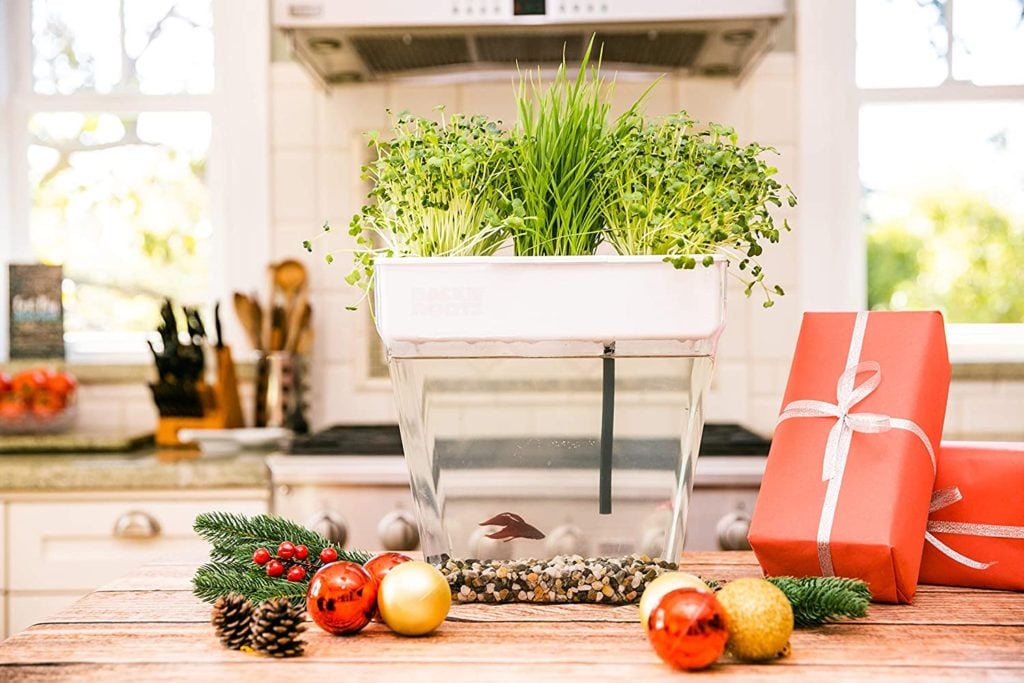 8 Innovative Self Cleaning Aquariums Ideal For Home & Office - Fishxperts