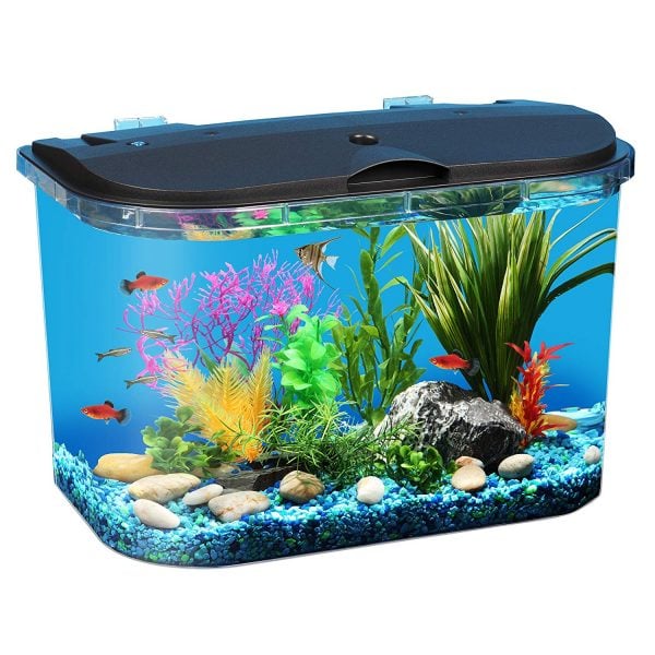 Ultimate 55 Gallon Aquarium Setup Guide - Fishxperts