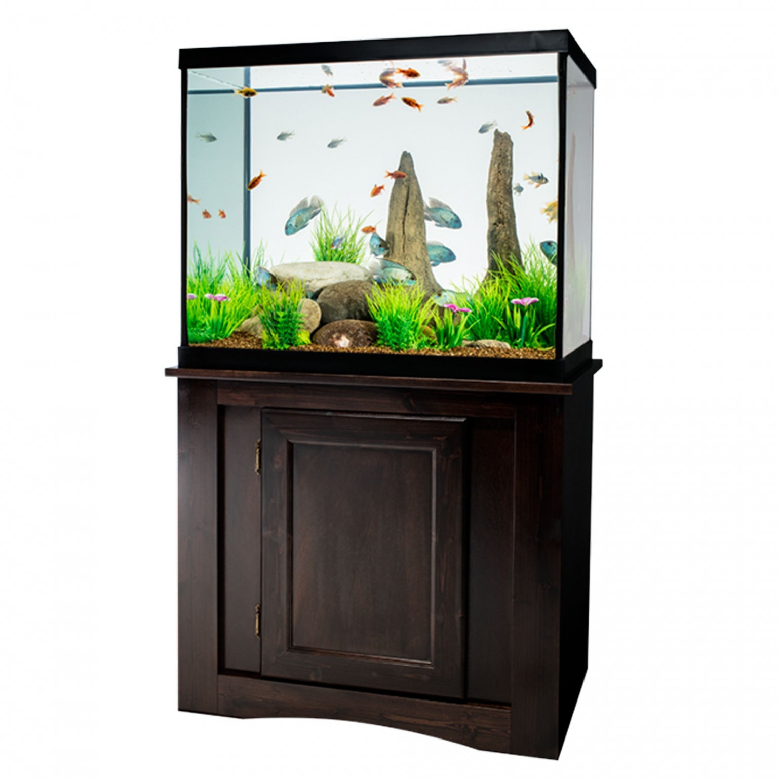 A Beginner's Guide To 75 Gallon Aquarium Setup - Fishxperts