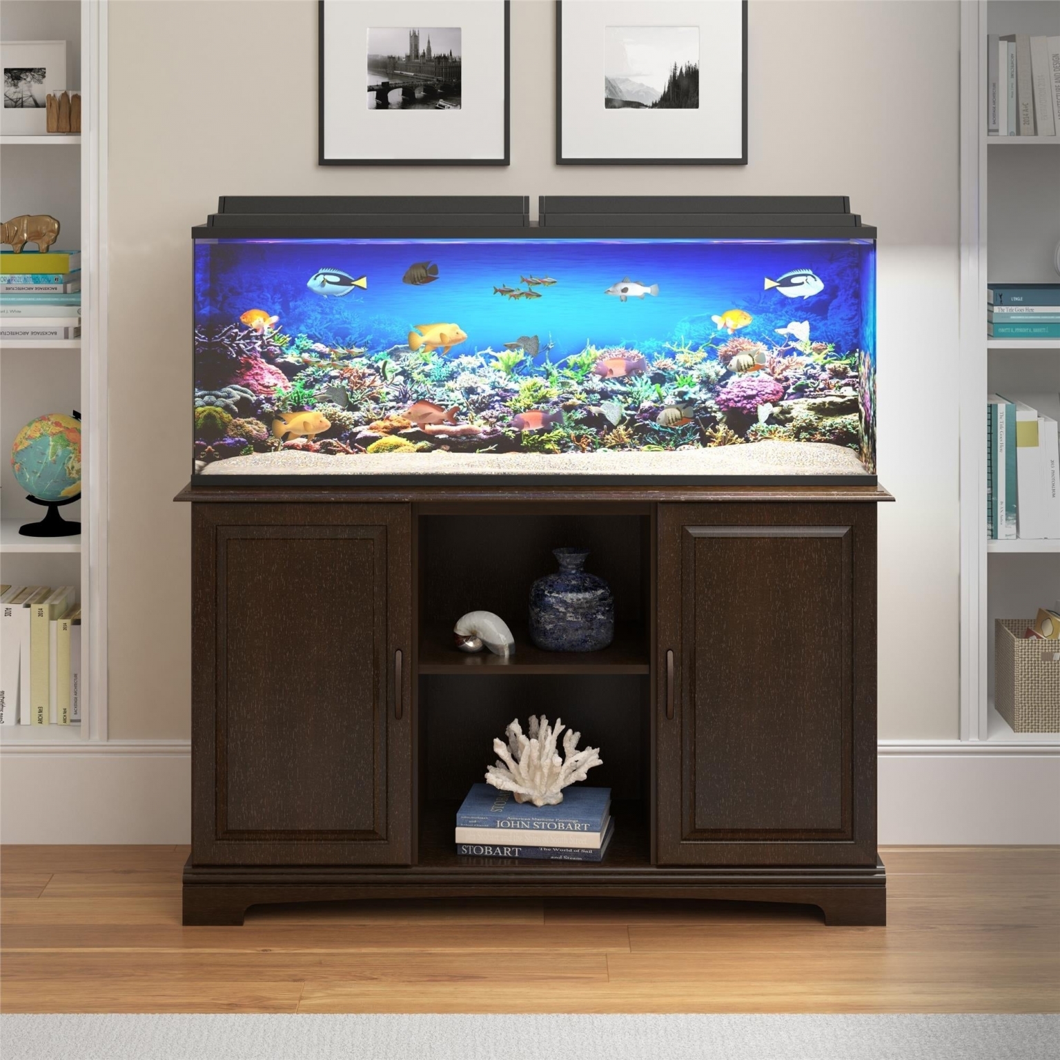 Step-By-Step Guide For Setting Up Of A 60 Gallon Aquarium - Fishxperts
